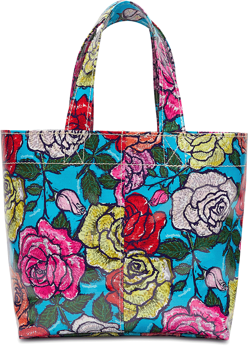 Rosita Mini Bag – Consuela